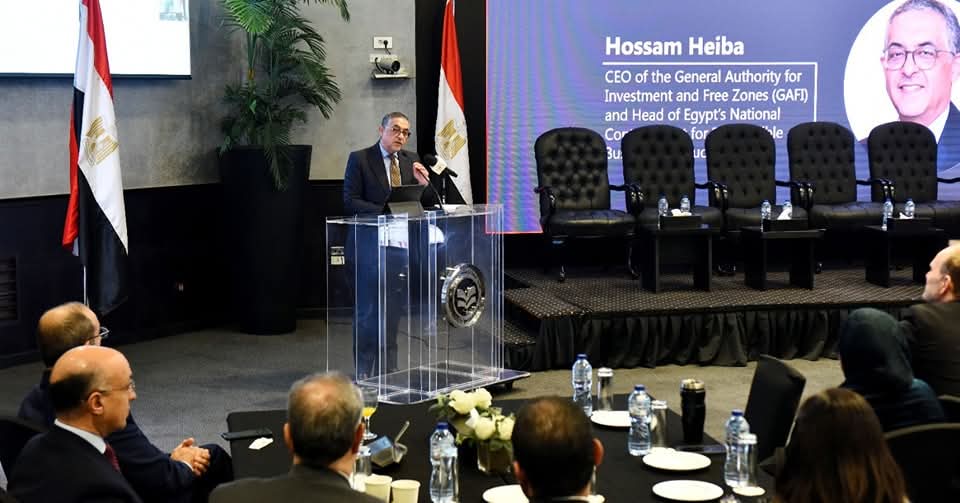 GAFI CEO Announces the Launch of the Updated Version of Egypt's ...